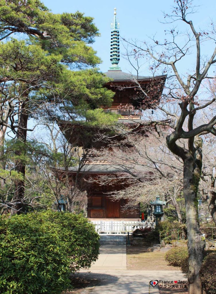 Voyage Japon (Tokyo) - Gotokuji : le temple aux origines de Maneki-Neko