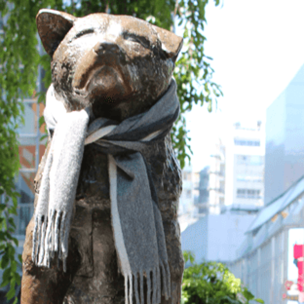 tokyo-statue-chien-achiko-histoire-race-20 - France Japon