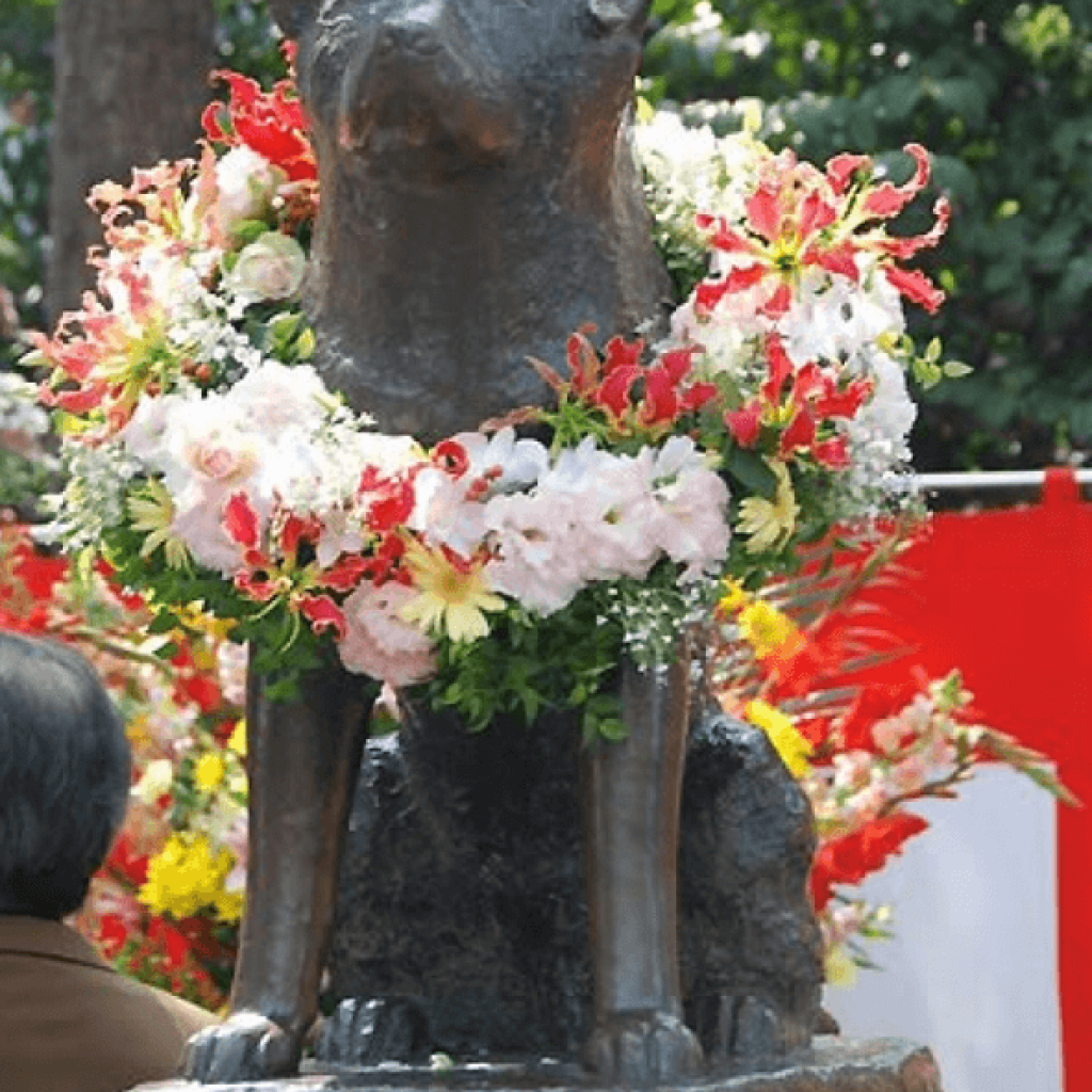 tokyo-statue-chien-achiko-histoire-race-a - France Japon