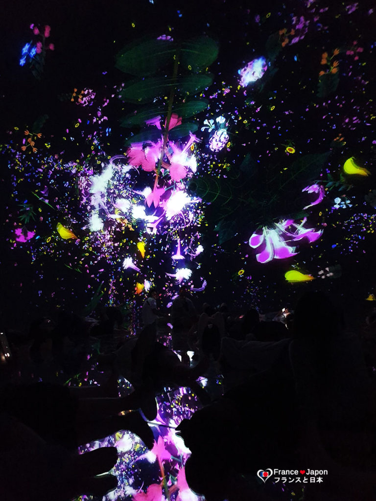 Voyage Japon (Tokyo) : l’exposition TeamLab Planets à Odaiba